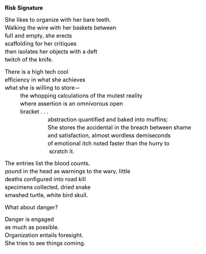 Erica Hunt : "Risk Signature" - by The Friend