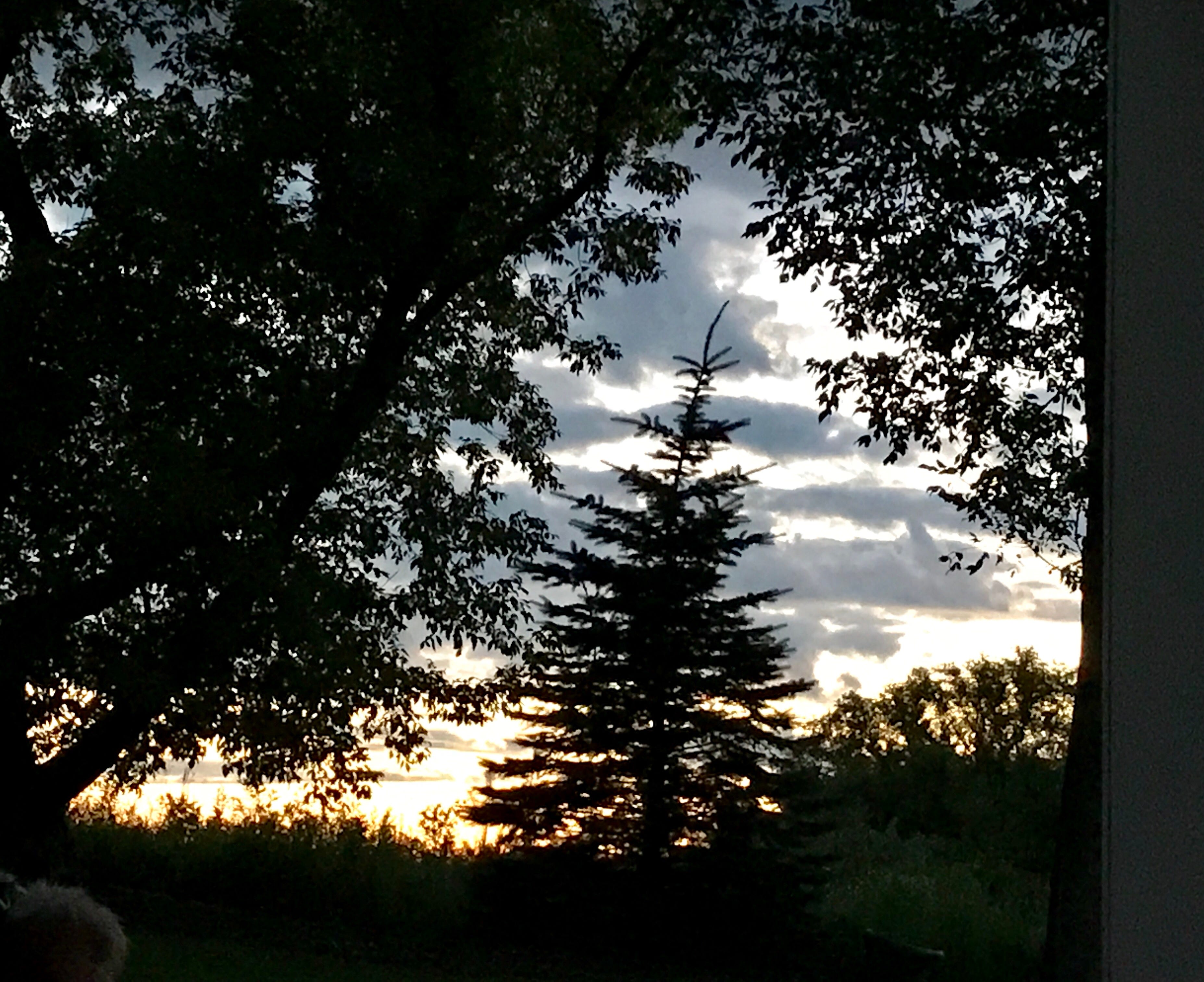 The Five-Minute Margarita - by Marisa Keller