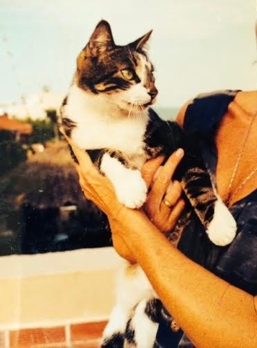 Maya Scholars Race Against Thieves to Thwart the Looting of a Lost ...