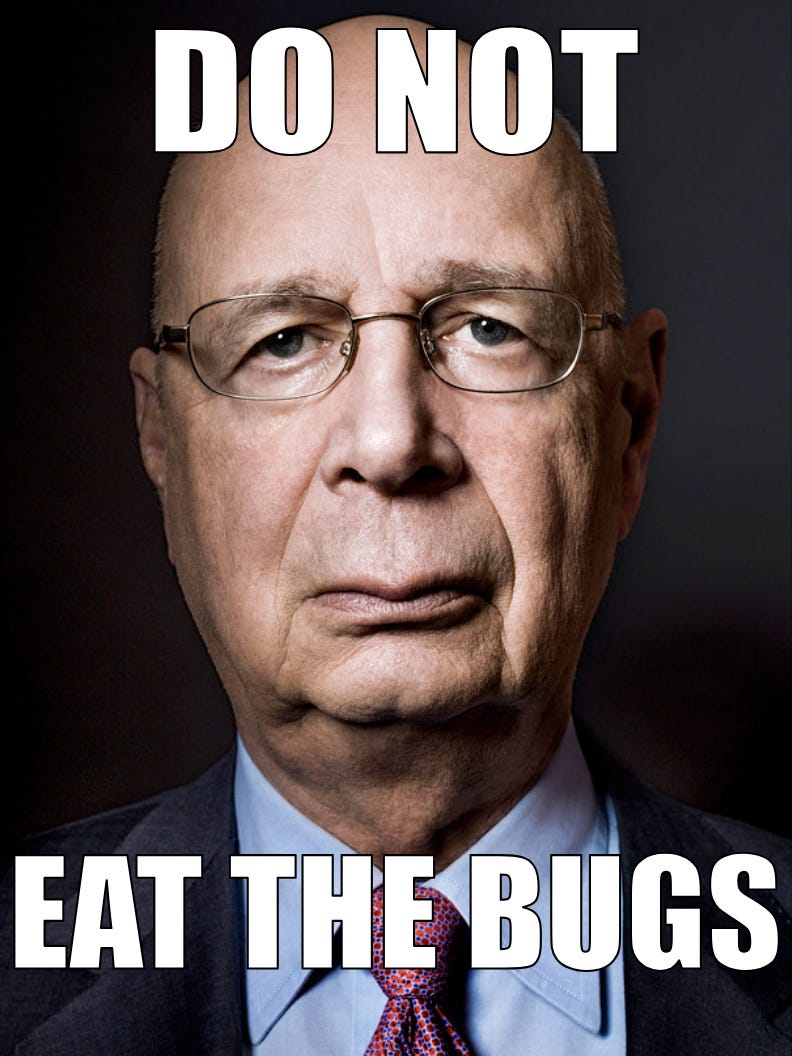 On Loving Animals - by Theodore Yohalem Shouse 🔸