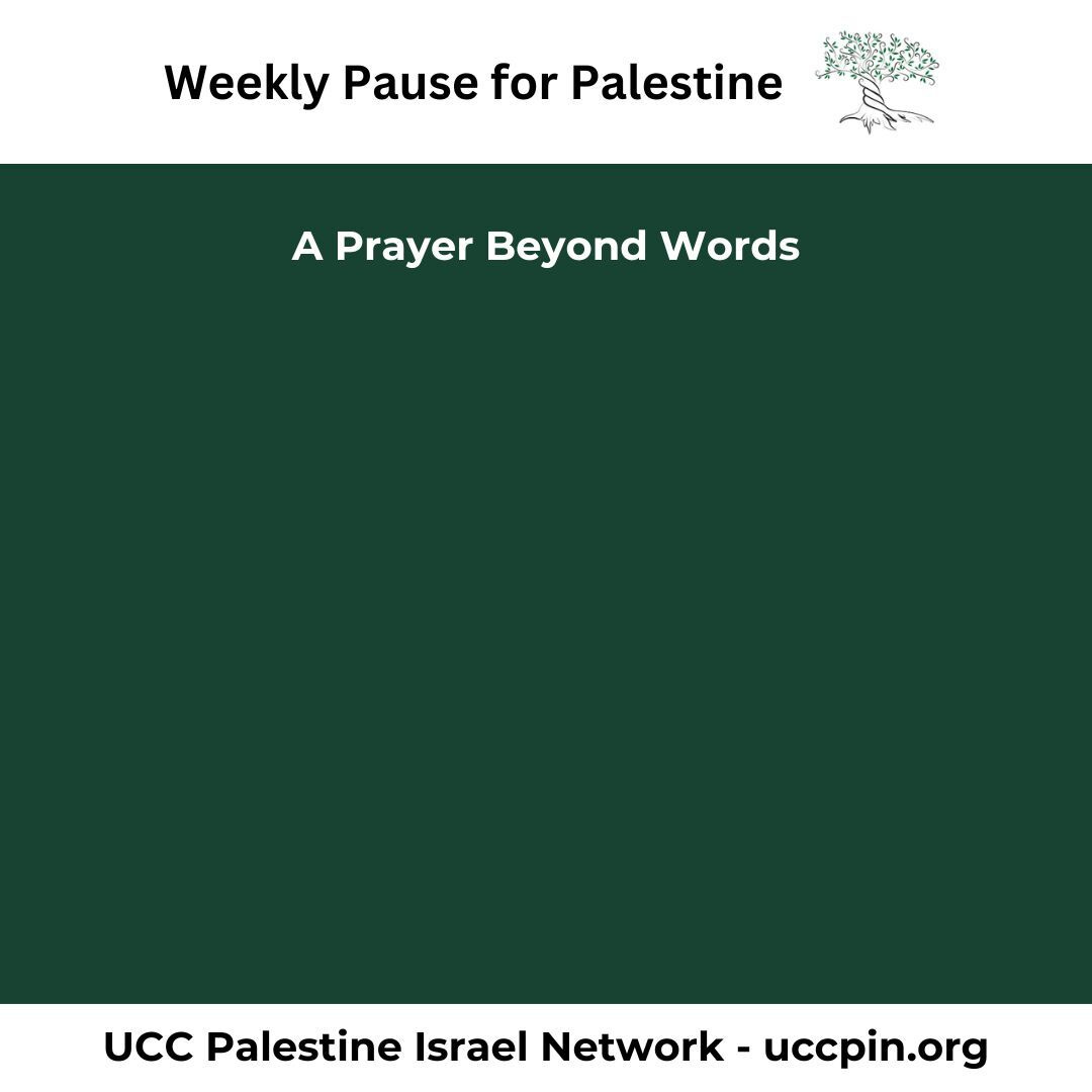 Weekly Pause for Palestine - UCCPIN’s Substack