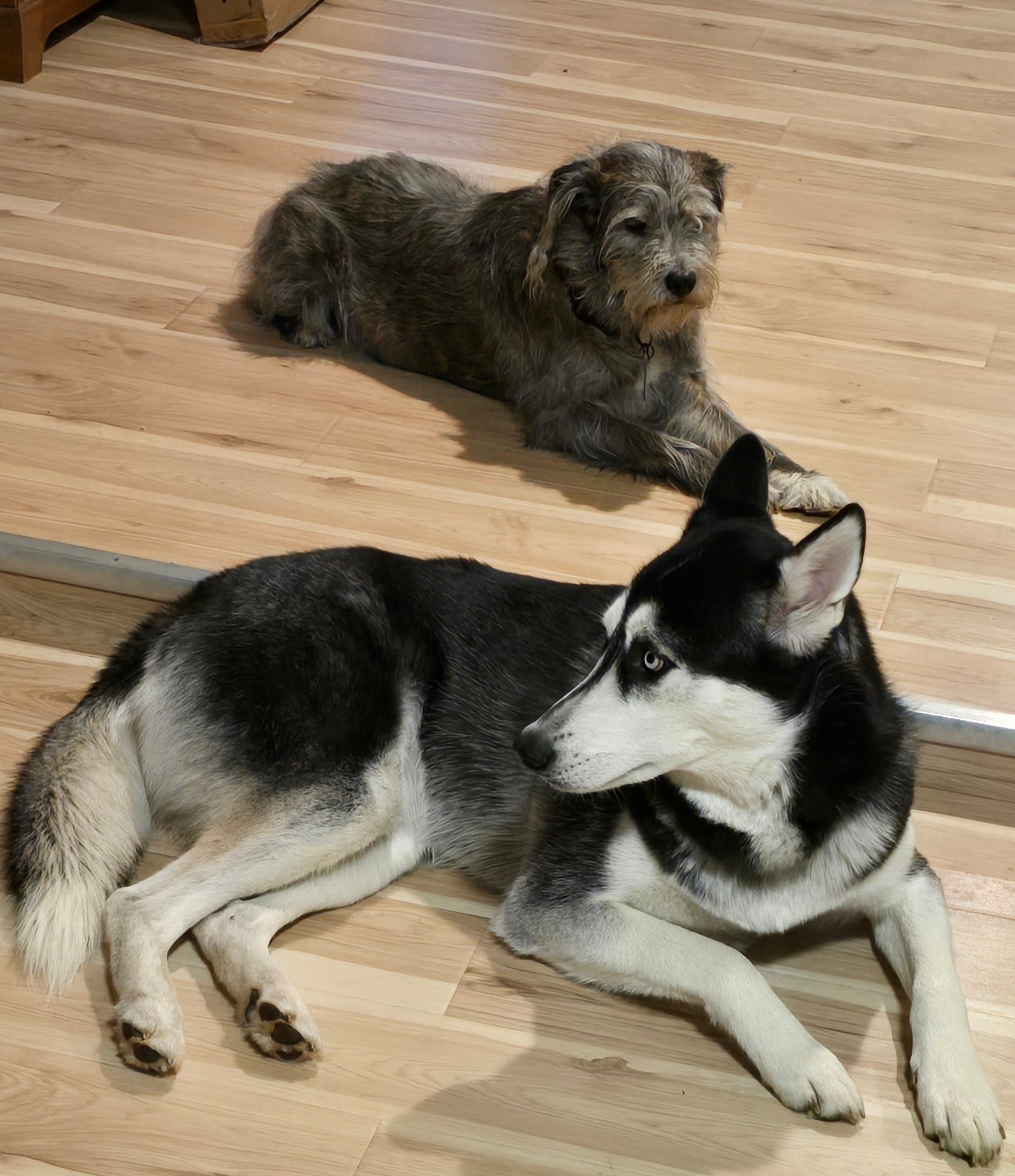 Invisible fish swim this ghost ocean now described by waves of sand, by ...