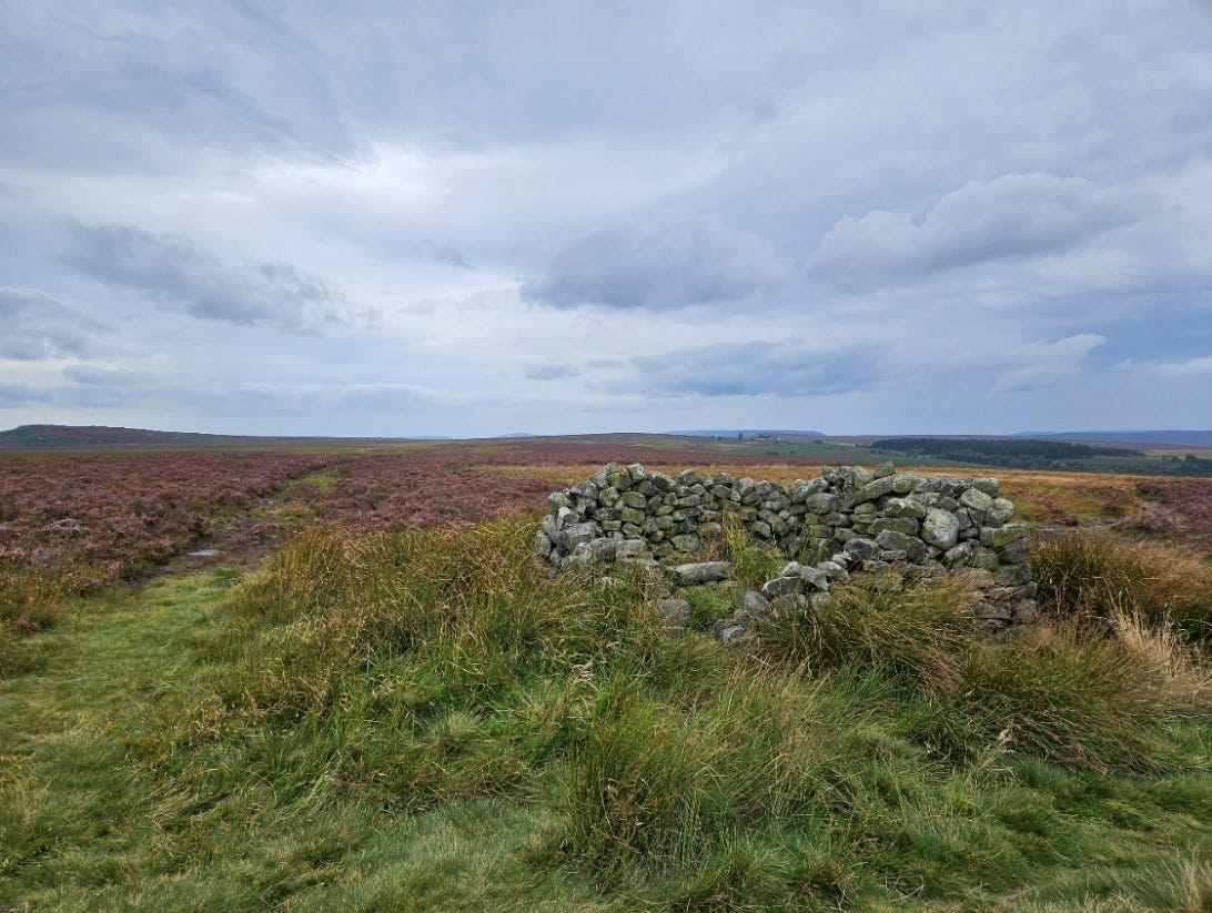 Searching for Knaves - by Alan Crutch