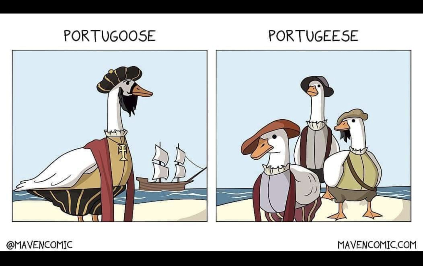 Best Funny Memes - December 2024 - by Momus Najmi