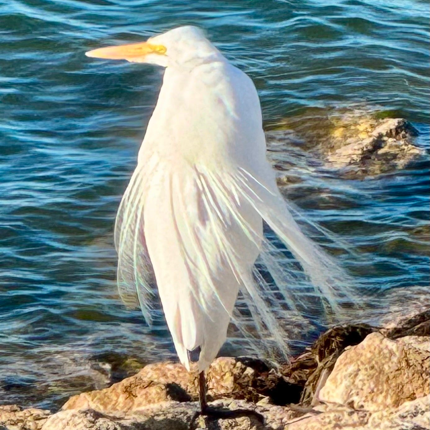 Maria Benning | Substack