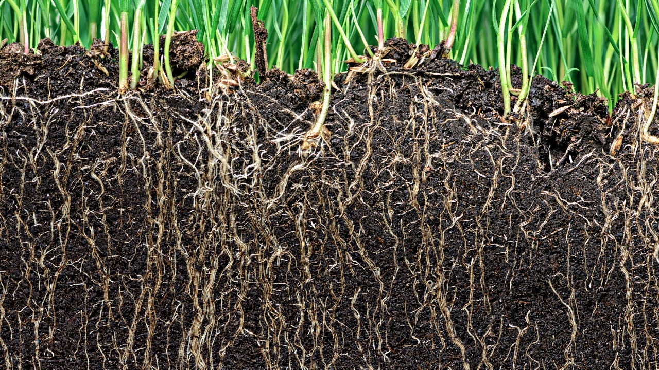 Fieldwork: First draft done! - by Suw Charman-Anderson