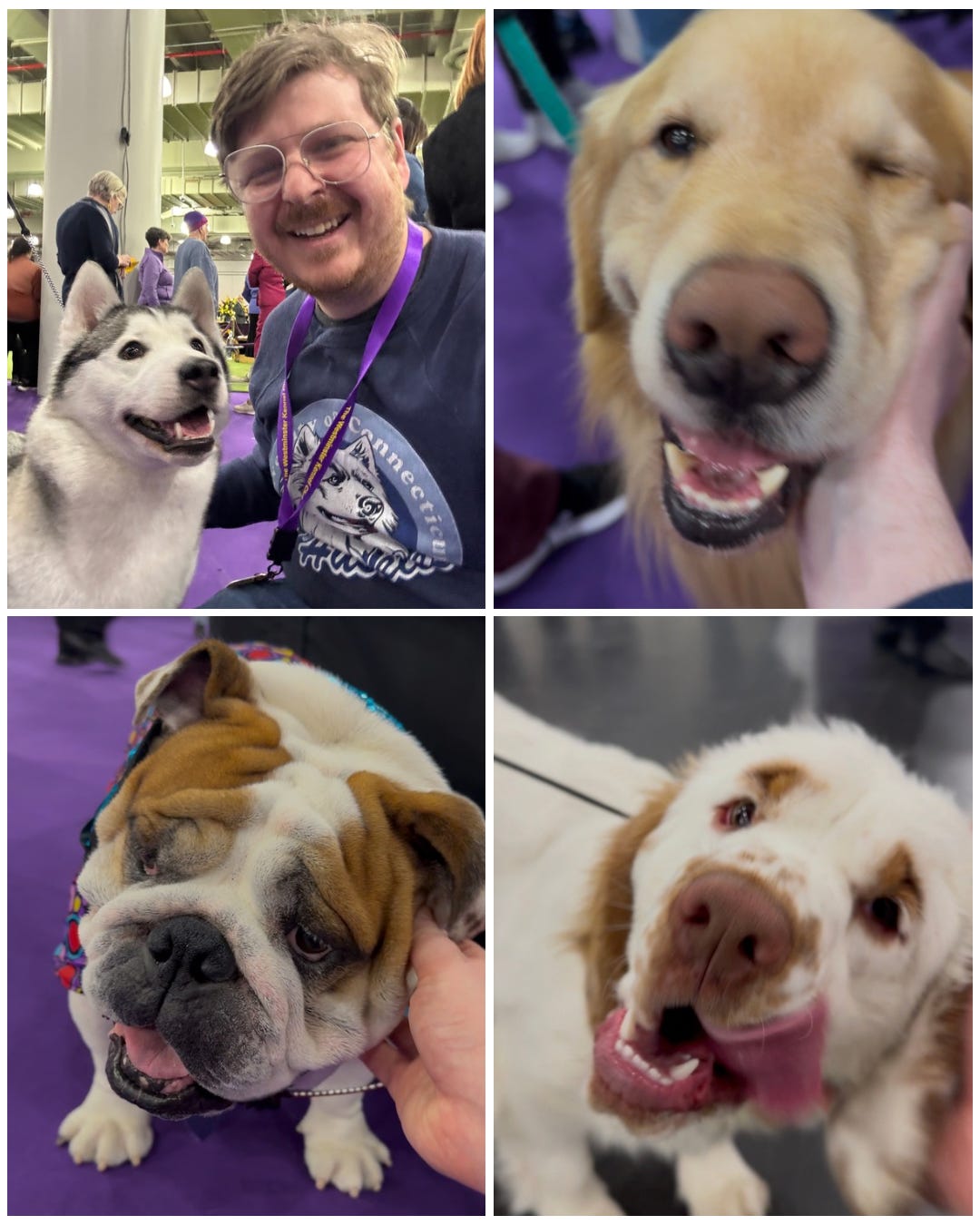 3 things I learned covering the Westminster Dog Show