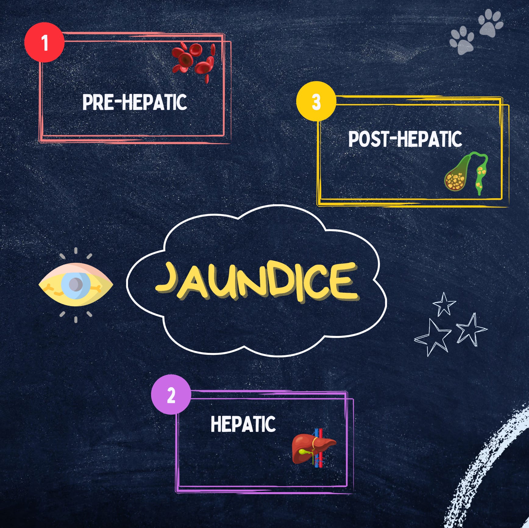 Jaundice in dogs and cats - by Carlos - VETPILL