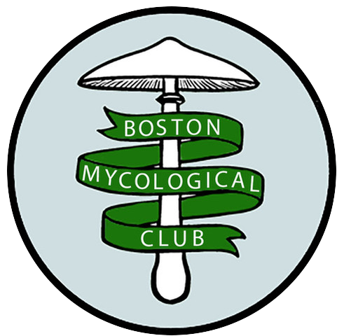 PSA Profile: Exploring the origins of psychedelic science with David ...