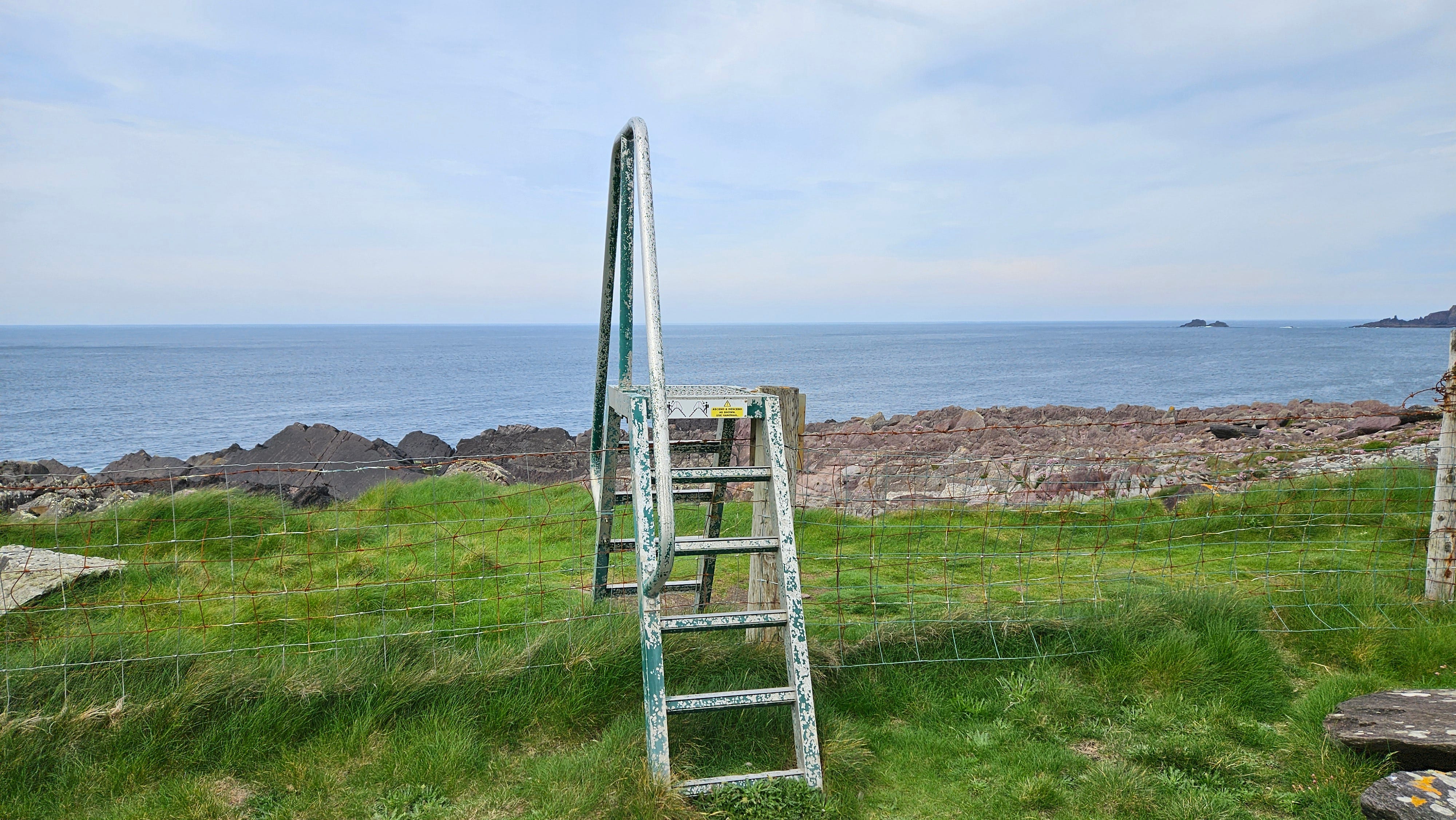 Spring Comes to the Slea Head Drive - by Clarice Dankers