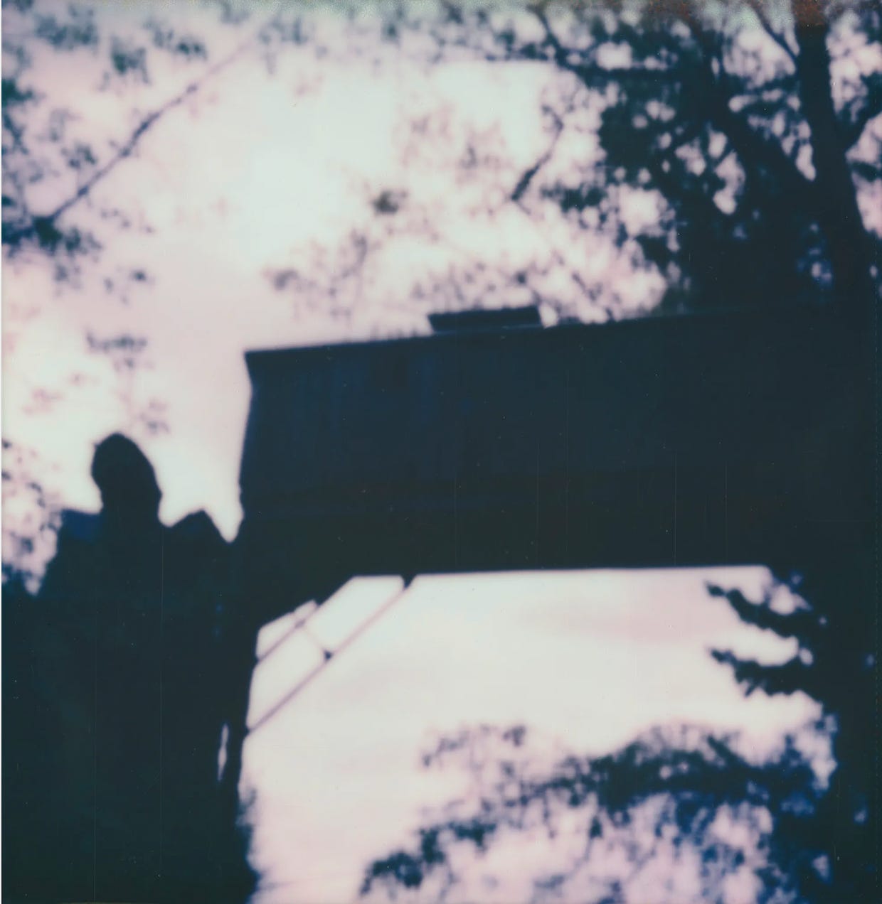 Susan Mikula: Island