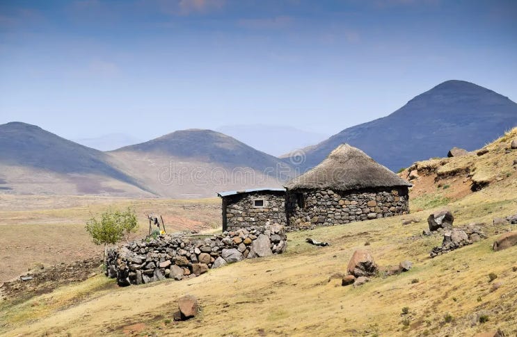 The Unbearable Wokeness of Being - by Gordon Torr