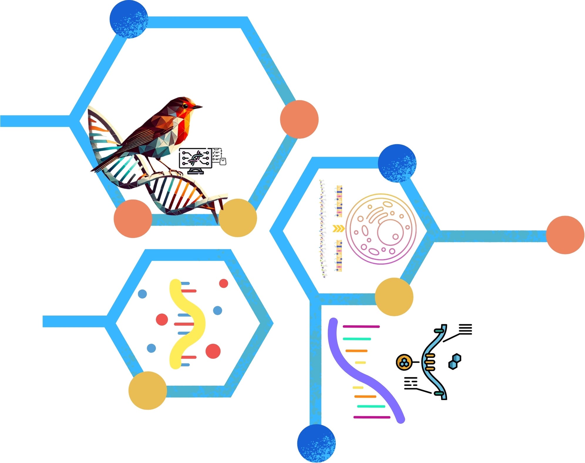 Antisense Oligonucleotides - ASO In Vivo Toxicity and Safety Studies