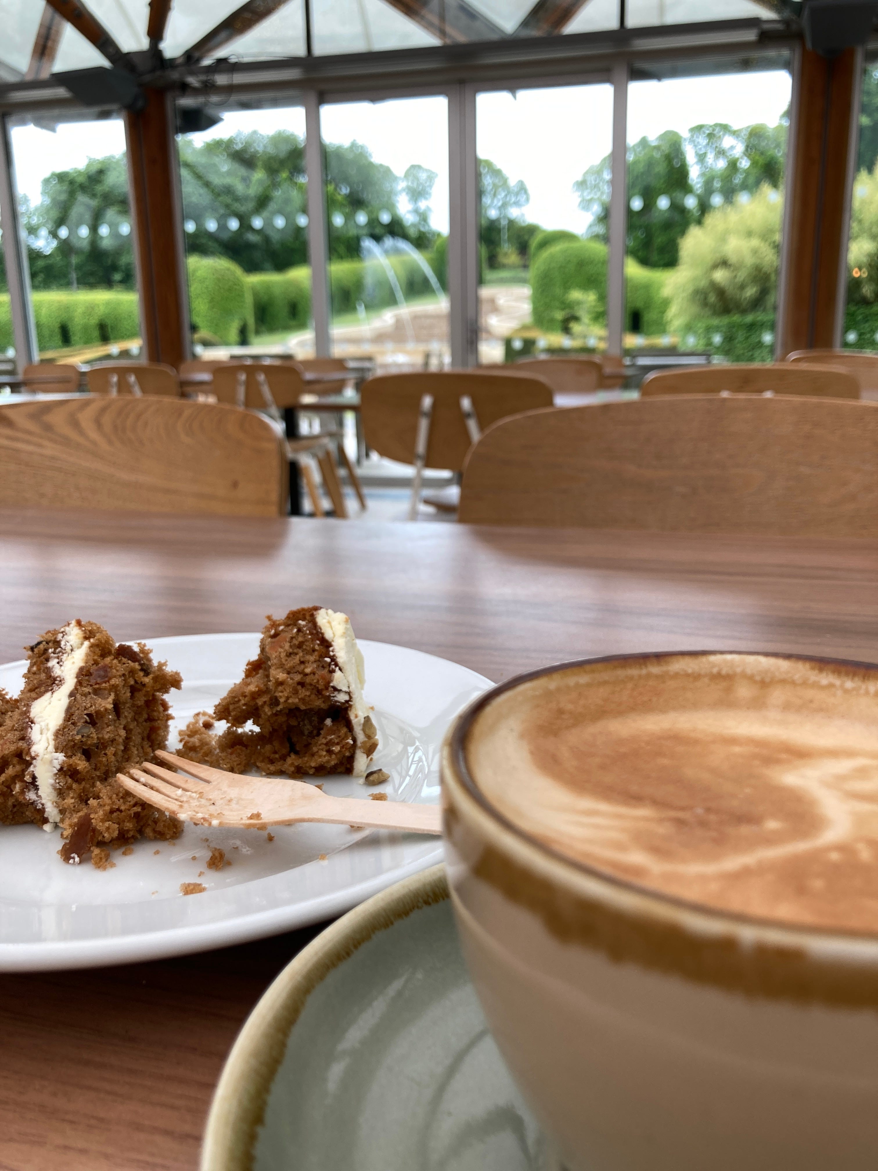 Stay Creative on Substack #1 - by Claire Venus