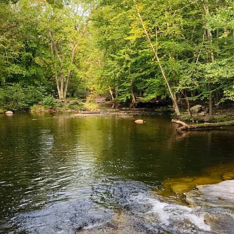 The 13th Rite (11) - by Casey Loomis - Casey’s Substack