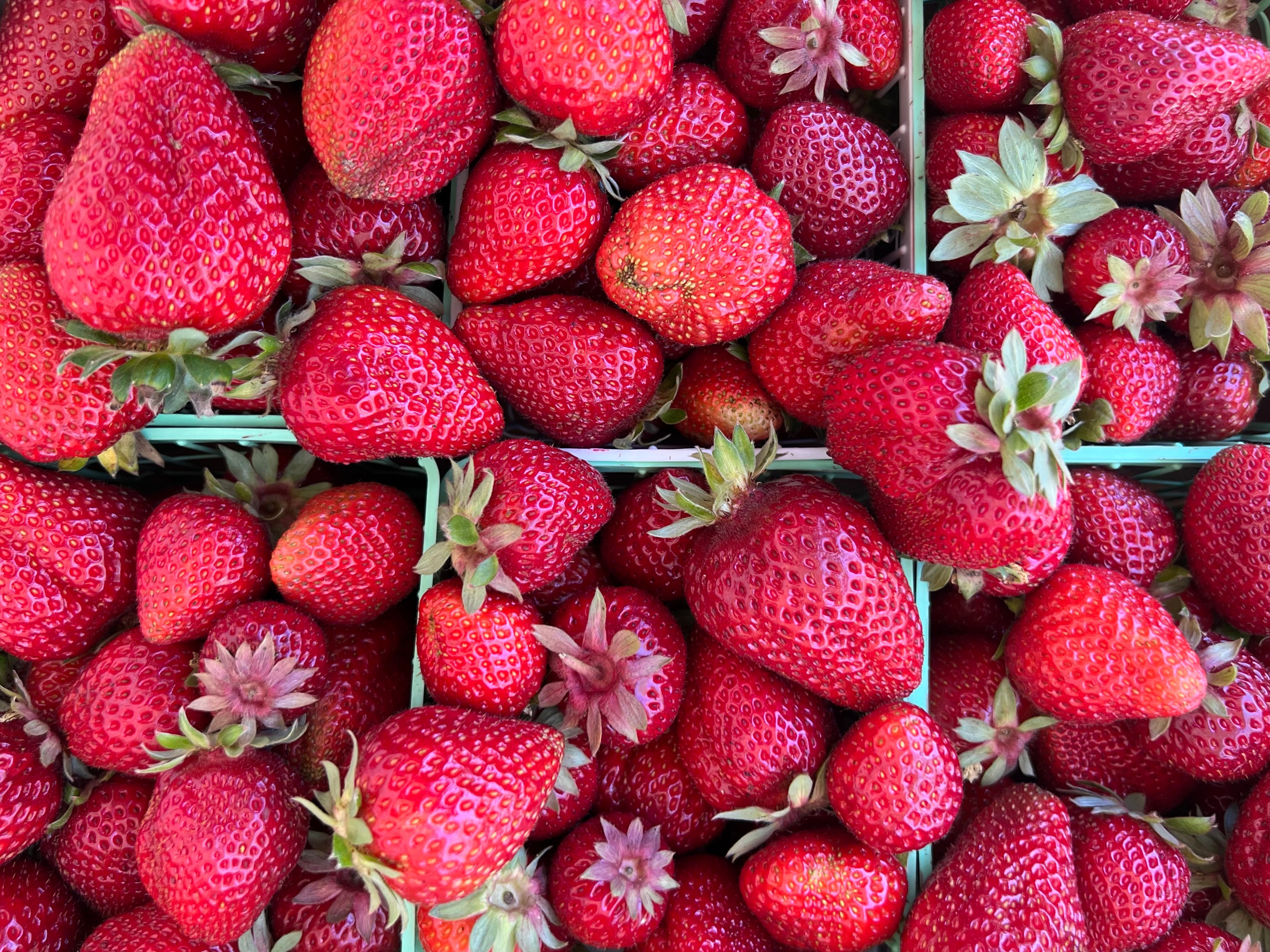 Here’s Why You Should Toss Out Junk Food