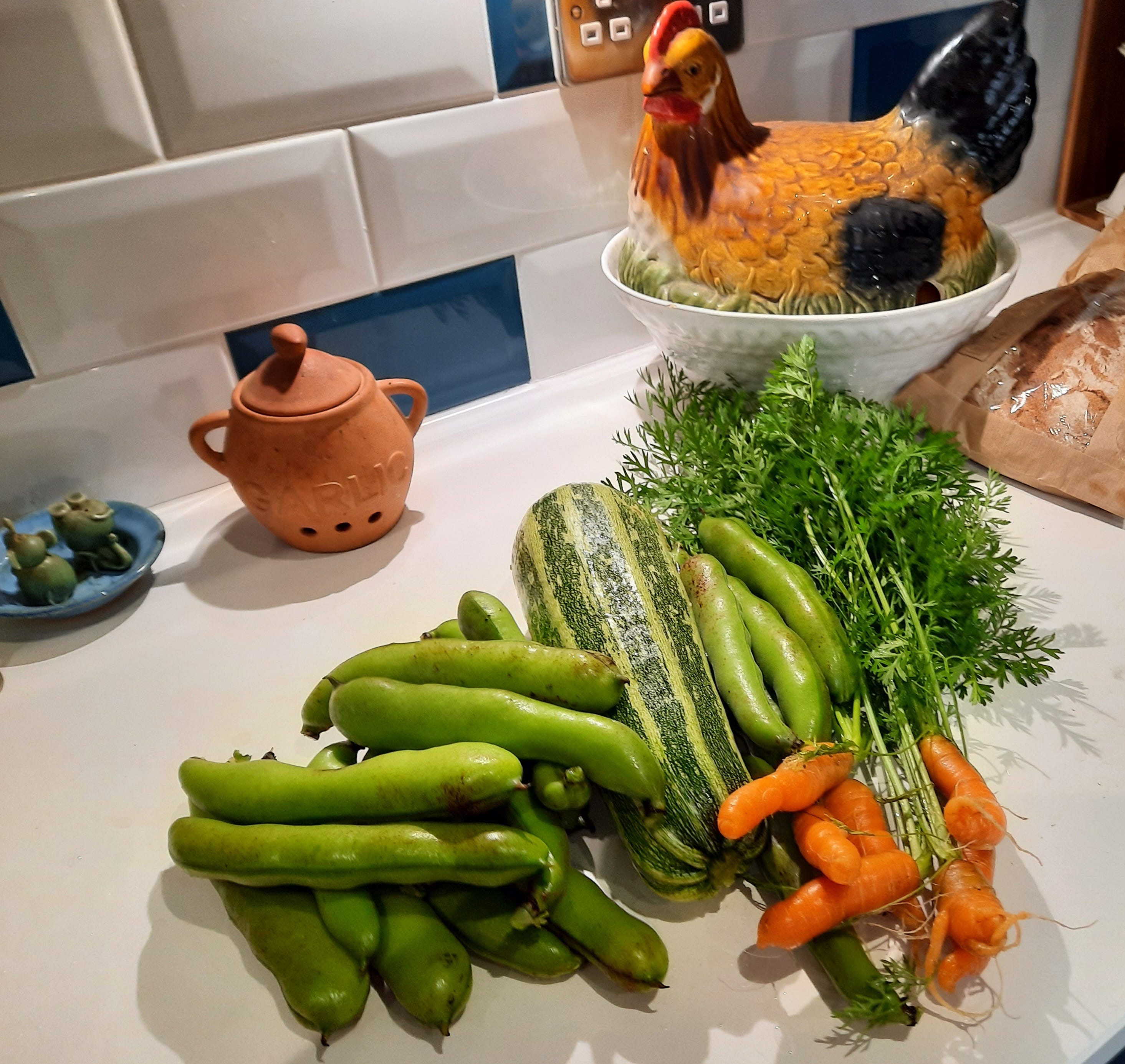 The joys of a happy amateur - Scots Ink Substack