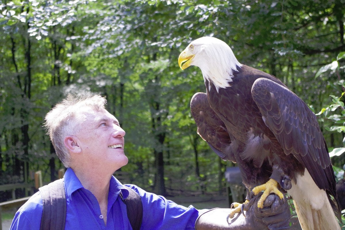 Introducing myself - by Gurdur - Musings