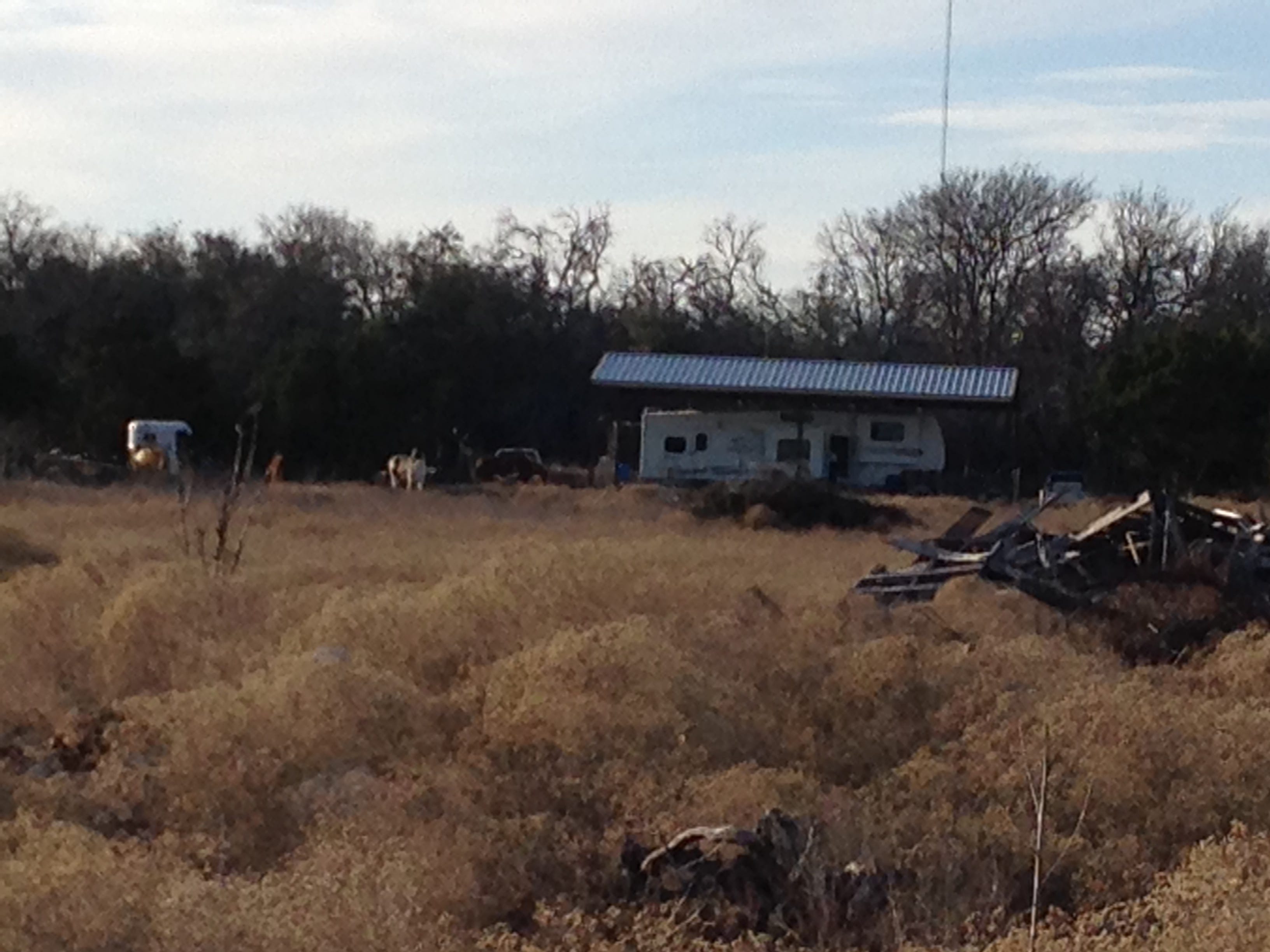 What was that whooshing sound? - by Trish Lambert