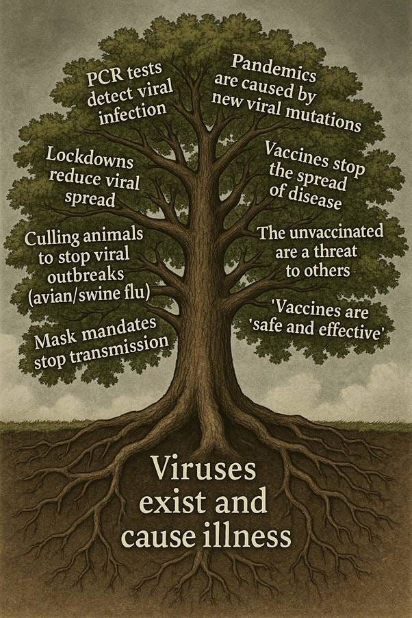 11 Layers of Unproven Claims: Uprooting the Measles Virus Myth
