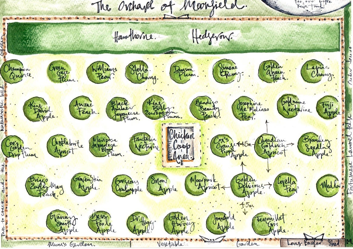 The Orchard Guide - The Garden at Moorfield