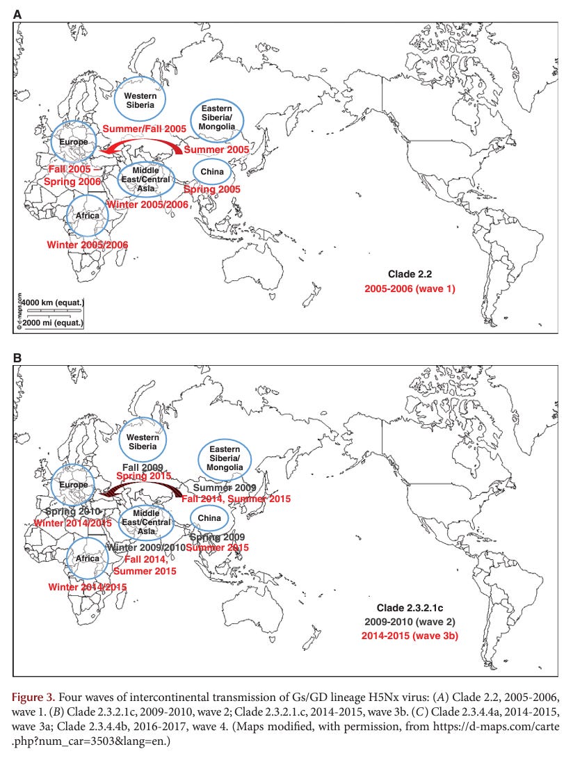 Is the Current Bird Flu Made in America?