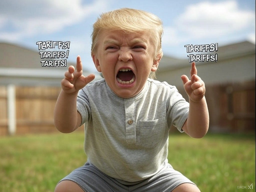 Donald Trump Throws a Tariff Tantrum