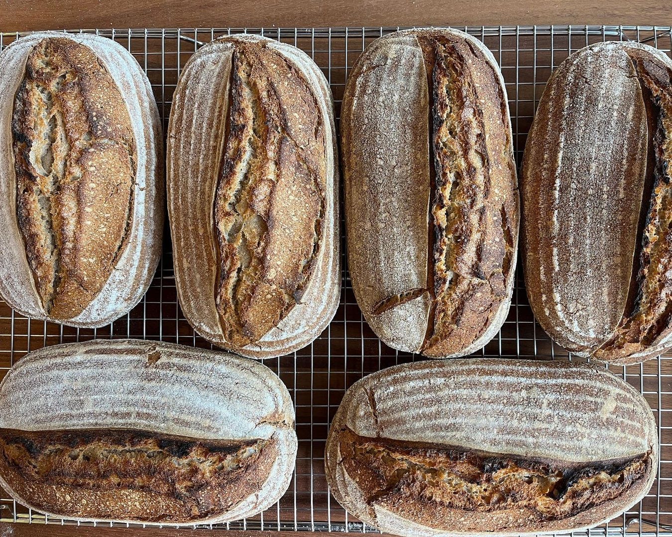 Potting Shed microbakery opens in East Bergholt