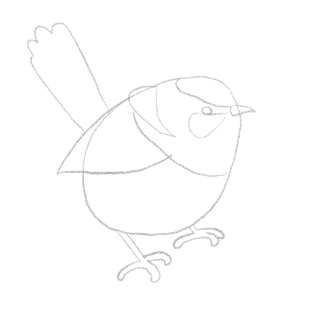 How to Draw - Superb Fairy Wren - by Zinia King