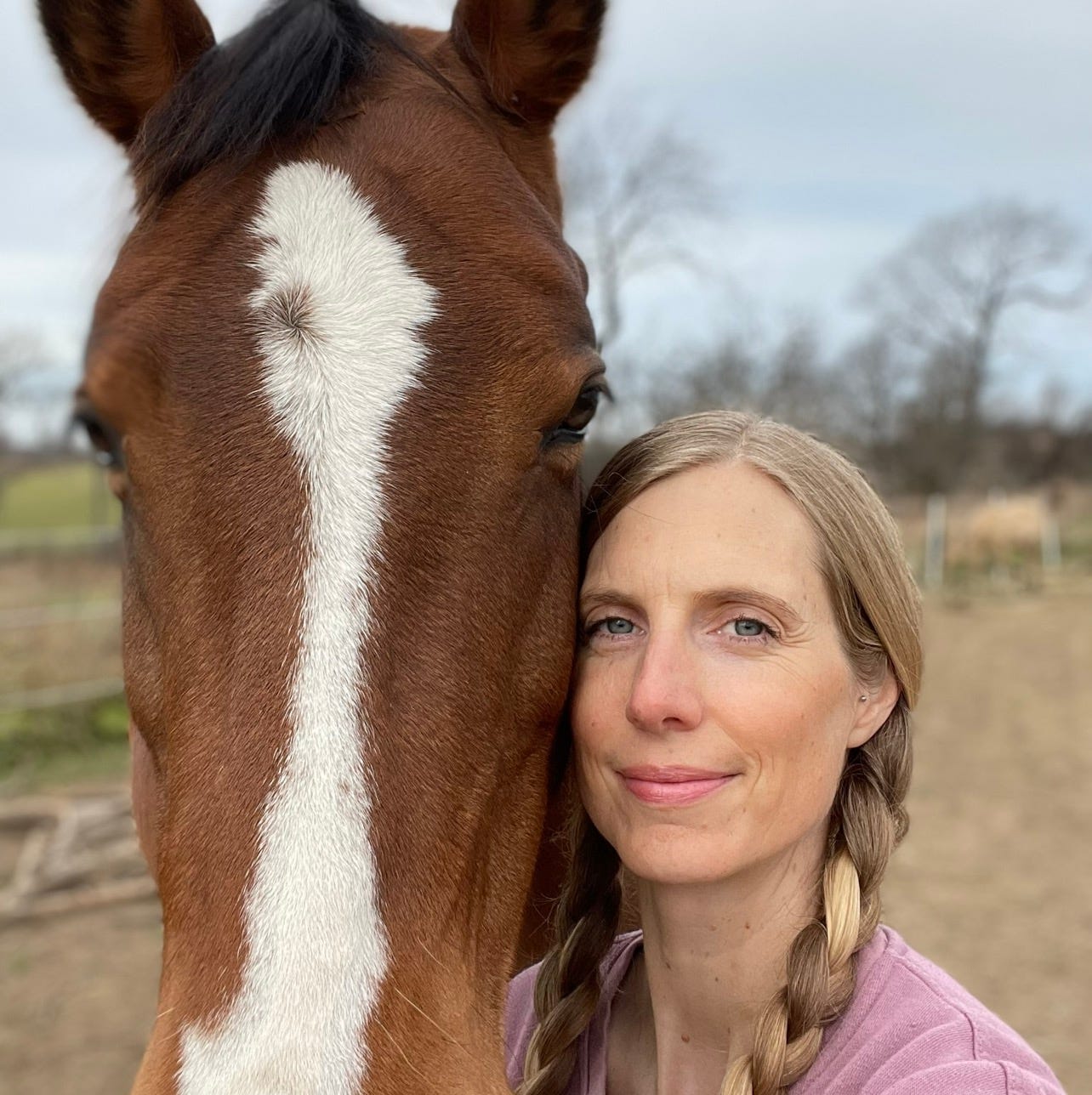 Carolyn Creed | Substack