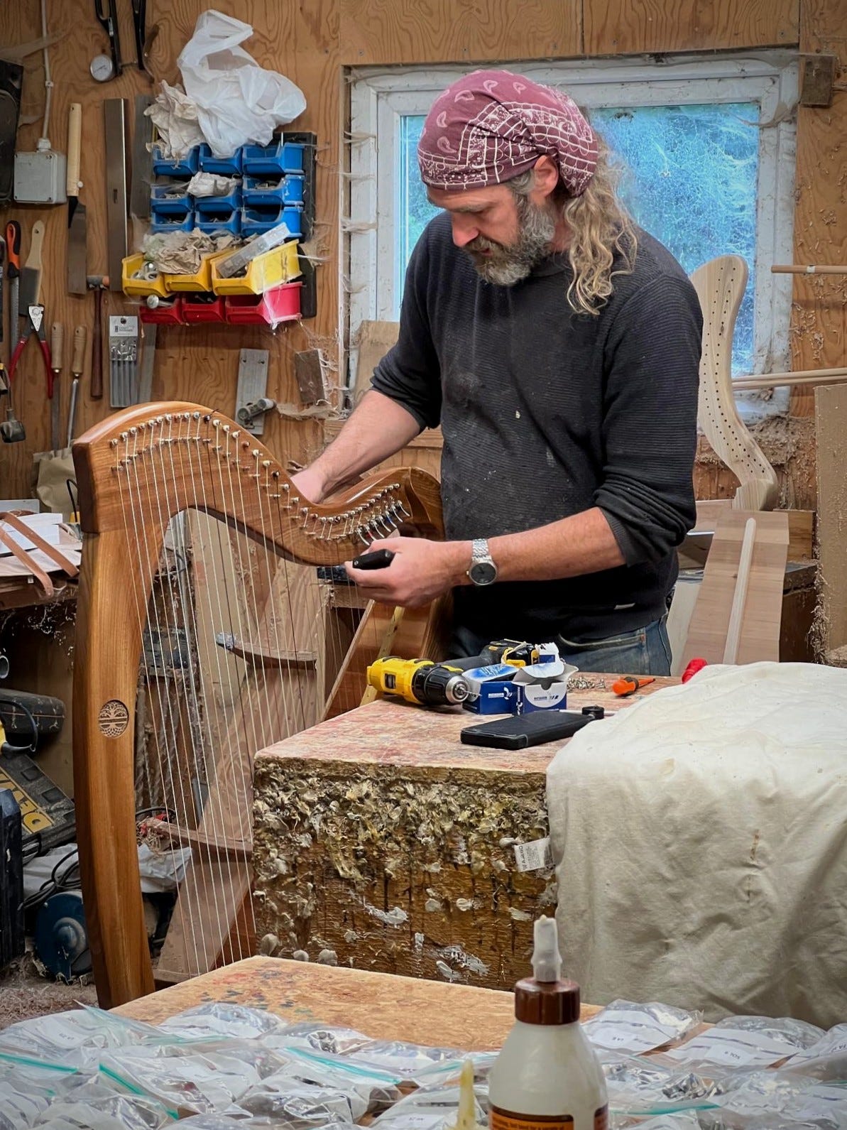 Brian Callan Reclaims Ireland’s Fallen Trees—and its Tradition of Harp ...