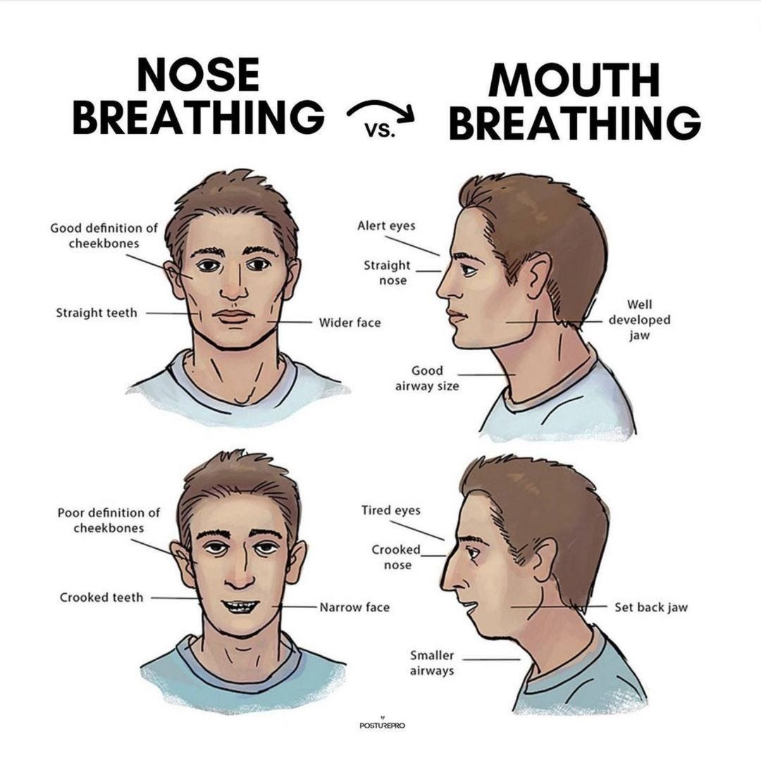 Letter 12, you've been breathing wrong all your life.