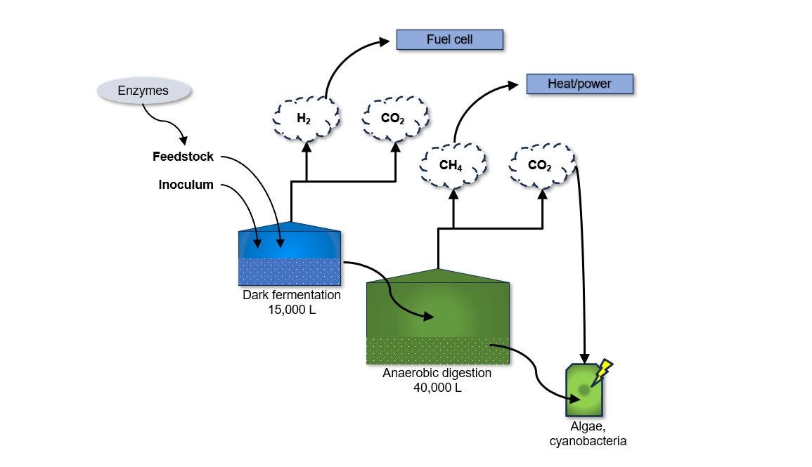 Biohydrogen successfully produced from the 'dark fermentation' of waste