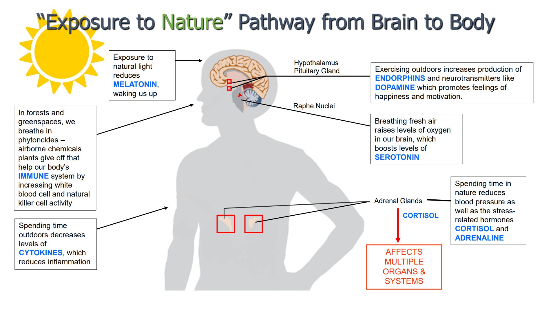 The Planetary and Human Health Initiative - by Bill Frist