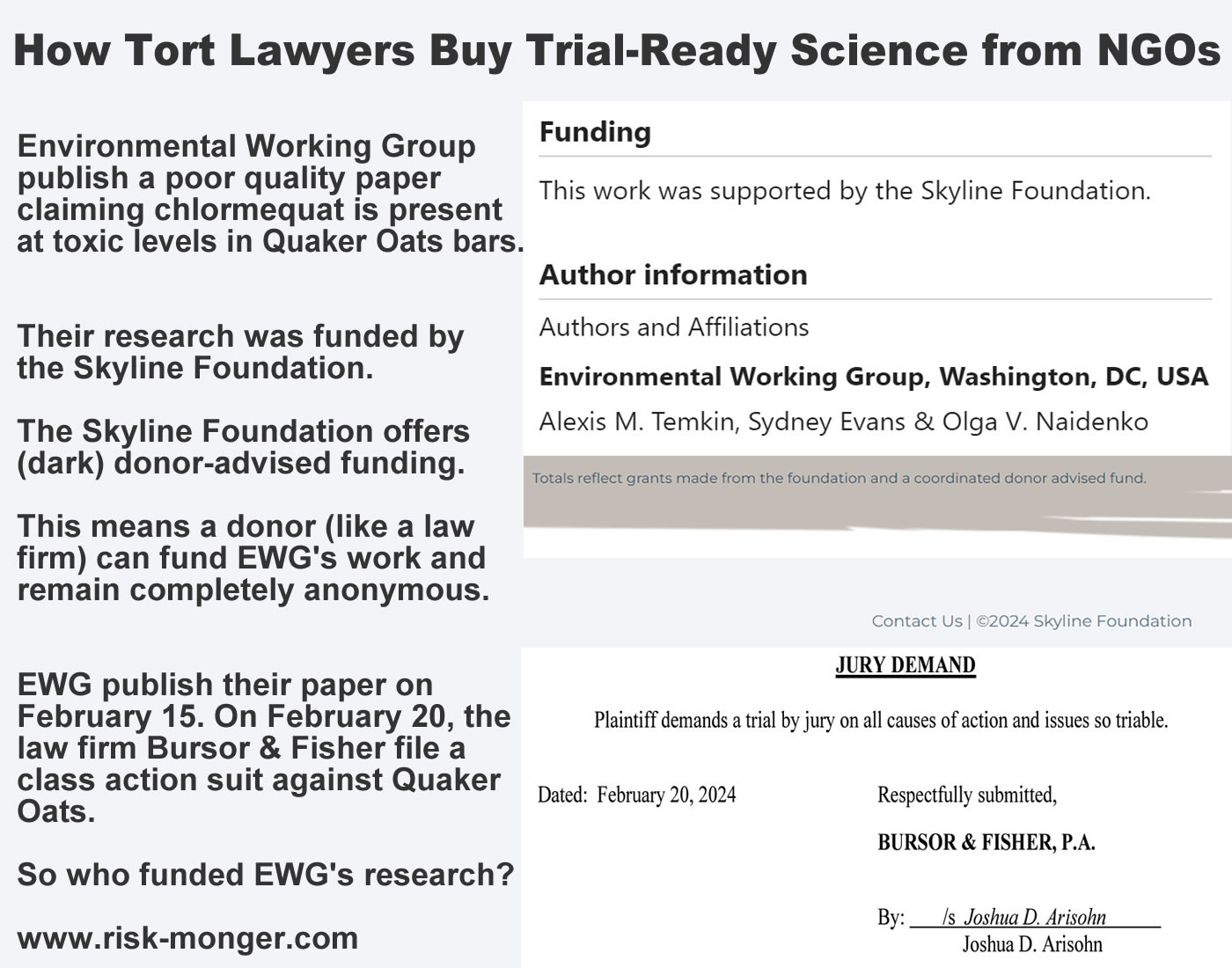 Anatomy of a Scam - by David Zaruk - THE FIREBREAK