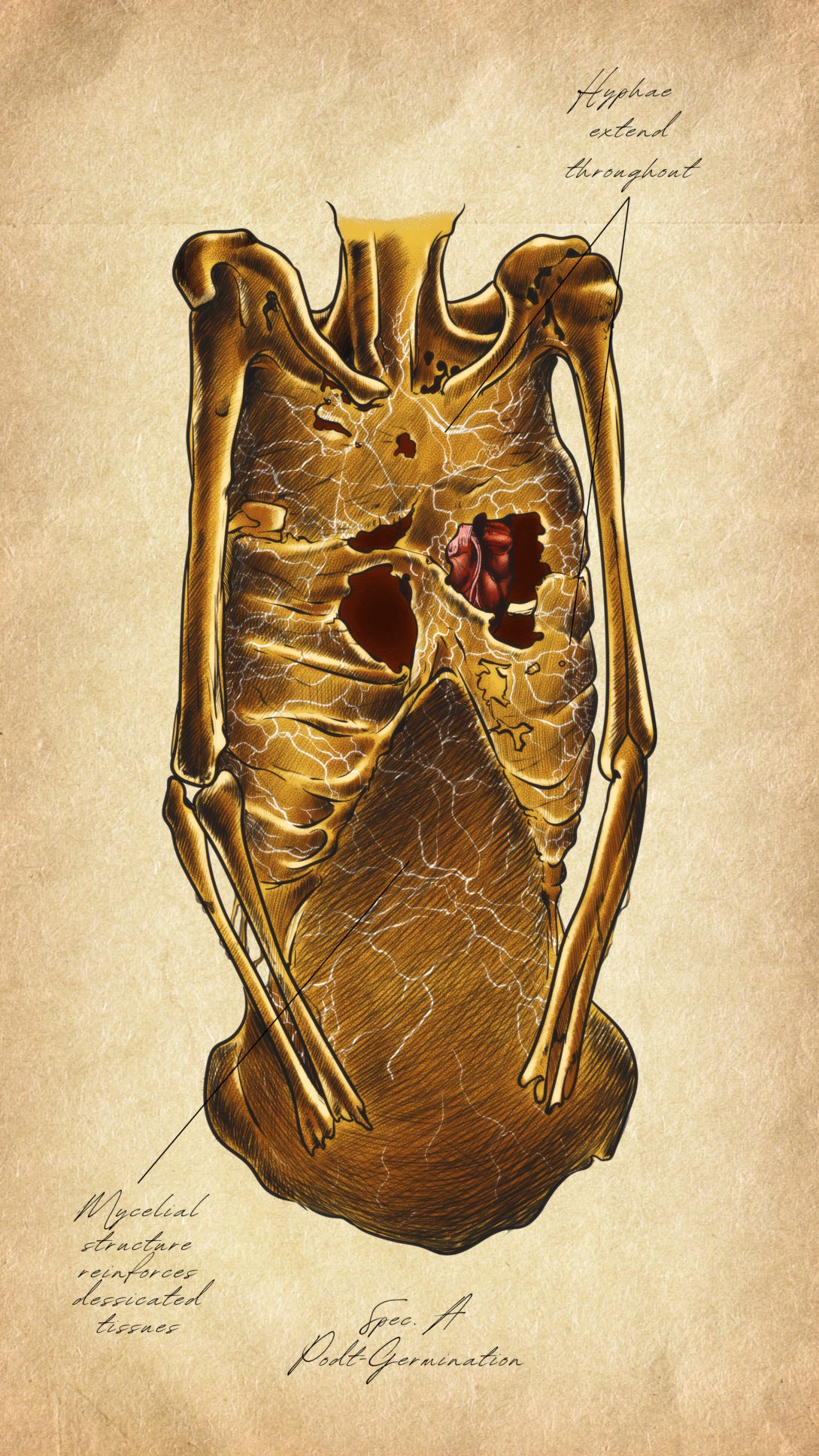 The Biology of the Living Mummy - by Thought Potato