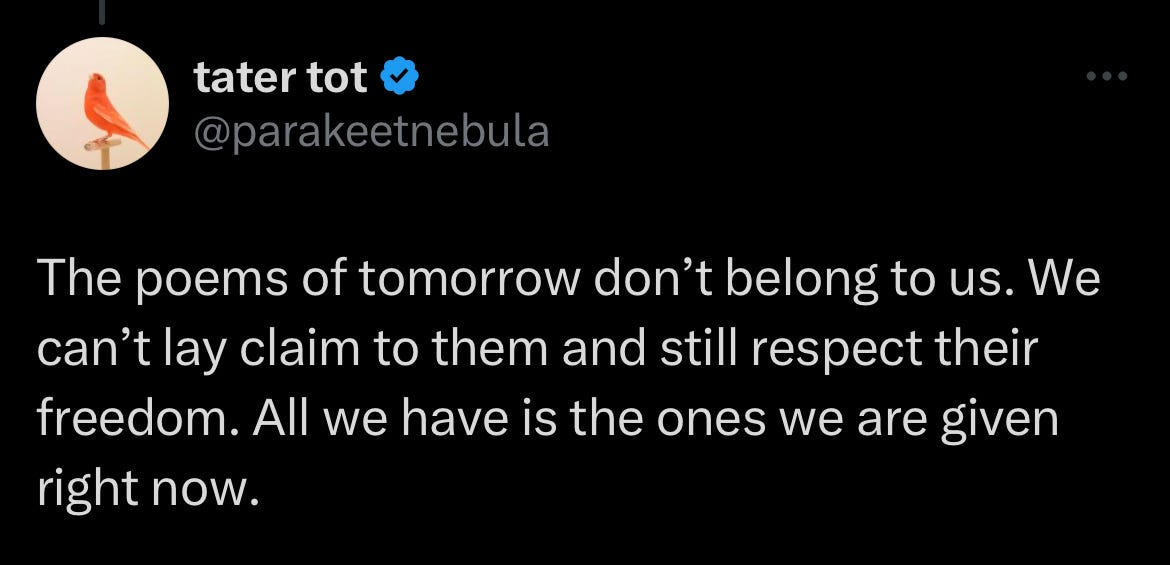 Beauty Draft 1 - Parakeet’s Substack