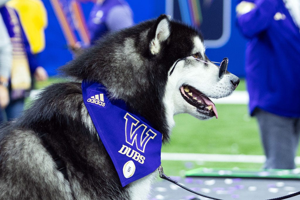 Washington candidates: Who is ready to lift the Huskies into the Big Ten?