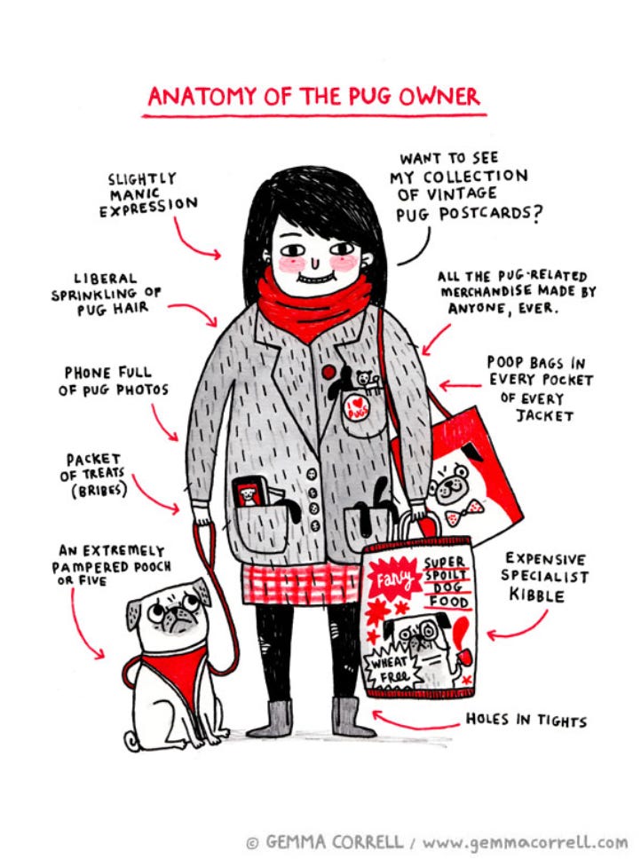 Anatomy of an Artist, Illustrated - by Wendy MacNaughton