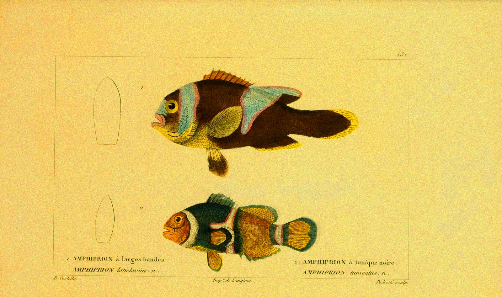 On New Years Eve - Cory’s Substack