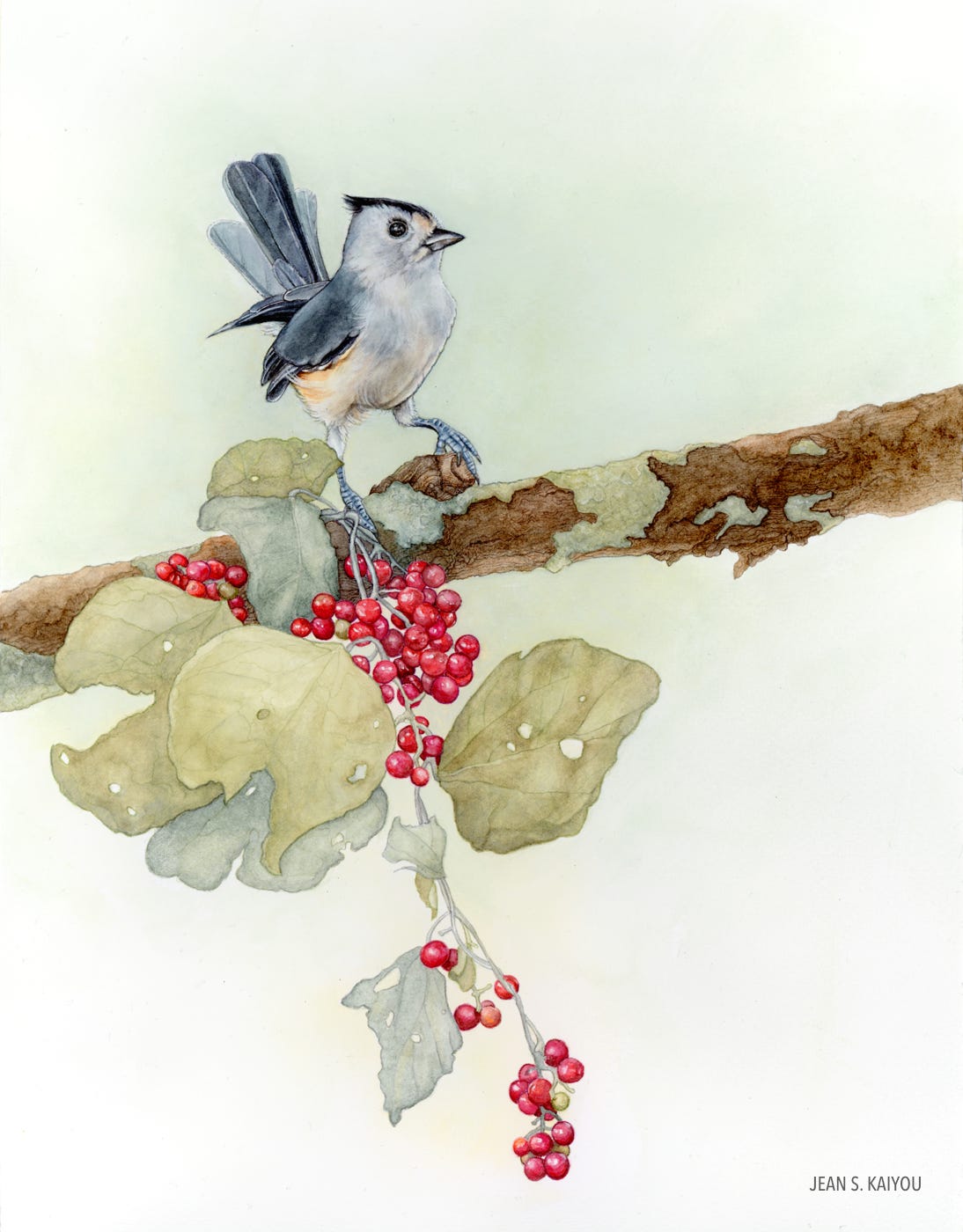 Exploring Line and Wash - by Jean S. Kaiyou