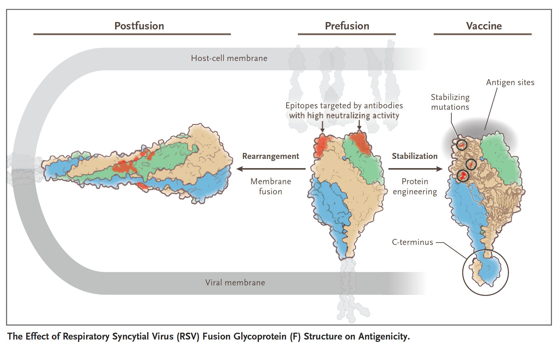 Why the new RSV vaccines are a BFD - by Eric Topol