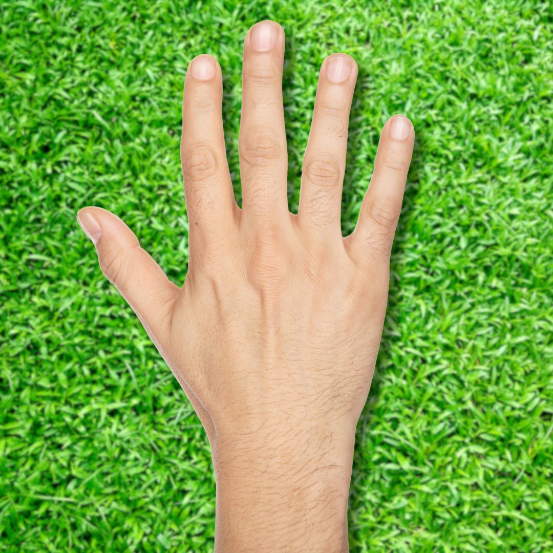 Touching Grass | Substack