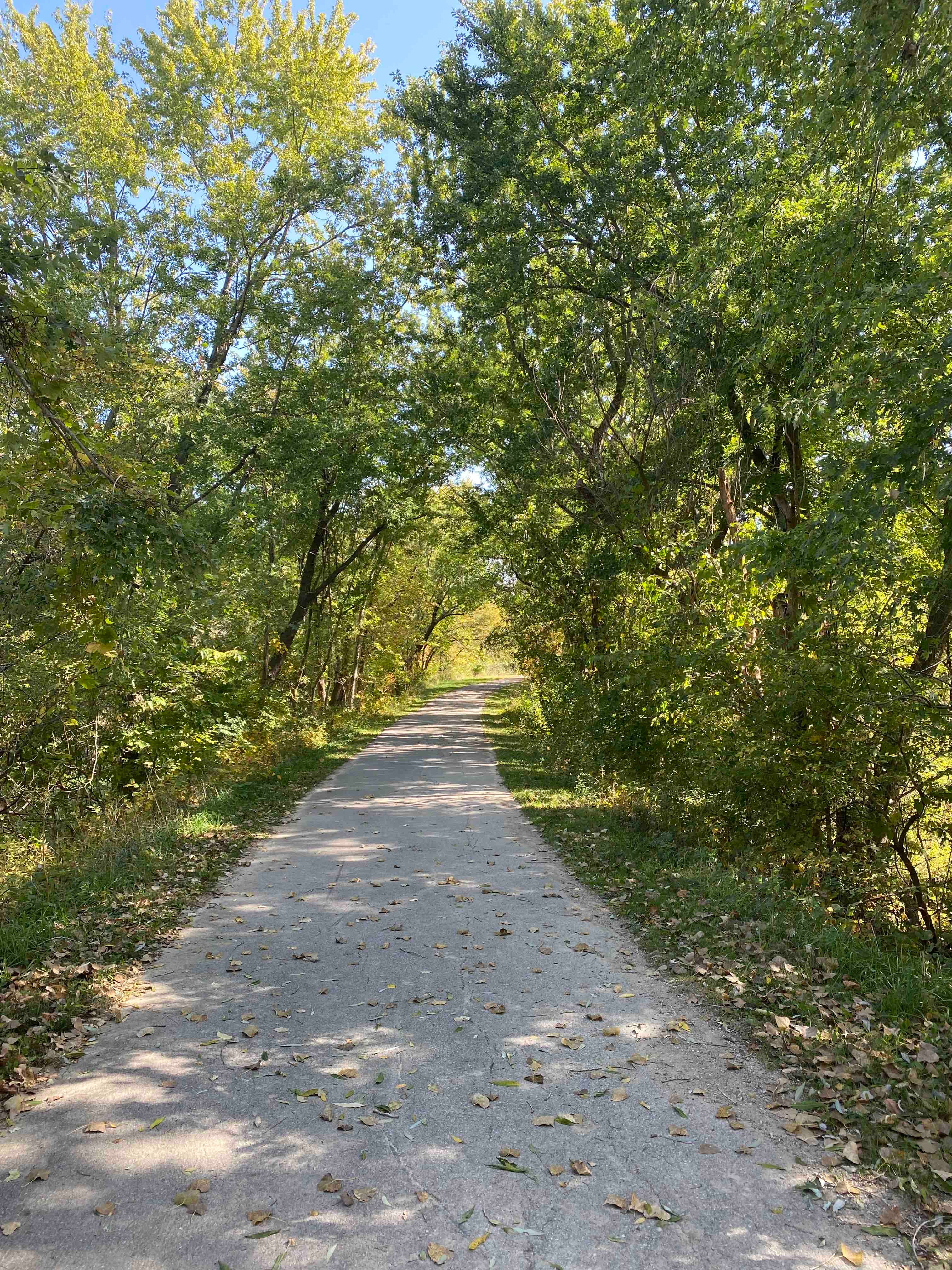 Hello (again) Substack! - by Monastic Motherhood