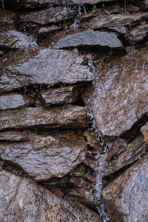 Persistence breaks through obstacles - by Moon Arica