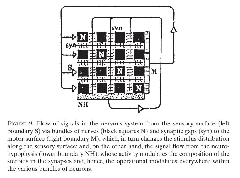 On Incommensurability of First order and Second order Cybernetics