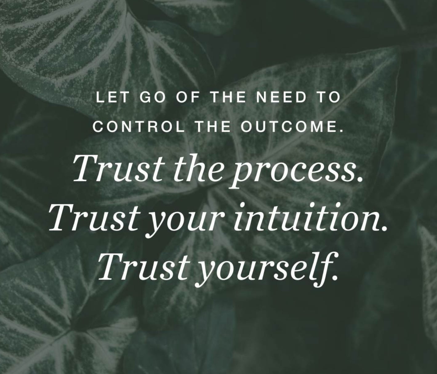 Let Go of the Need To Control the Outcome. Trust the Process. Trust ...