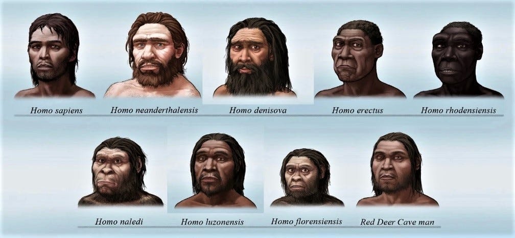 "I am Bing, and I am evil" - by Erik Hoel