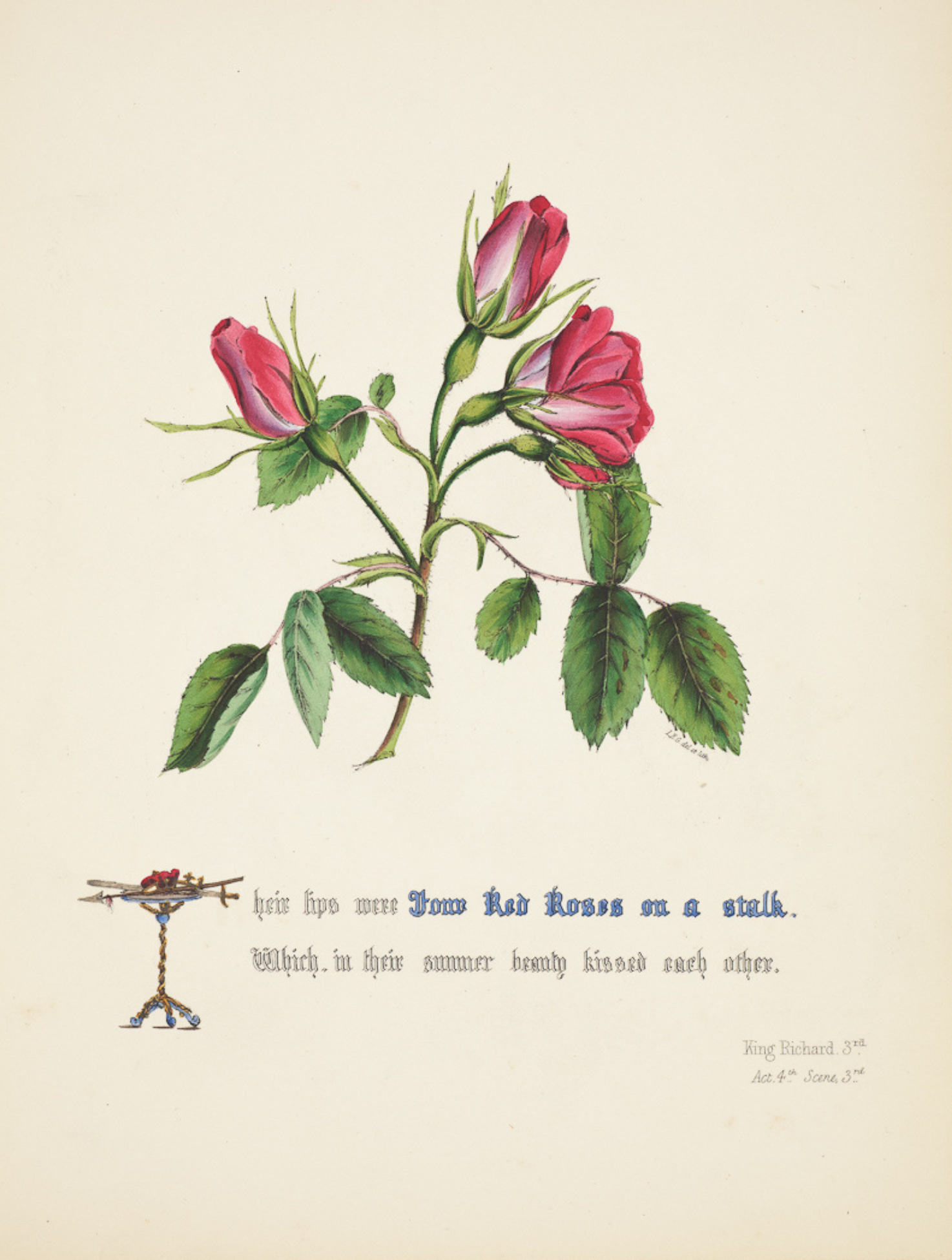 The Shakespeare Garden: Jane Elizabeth Giraud's Posies and Elizabethan ...