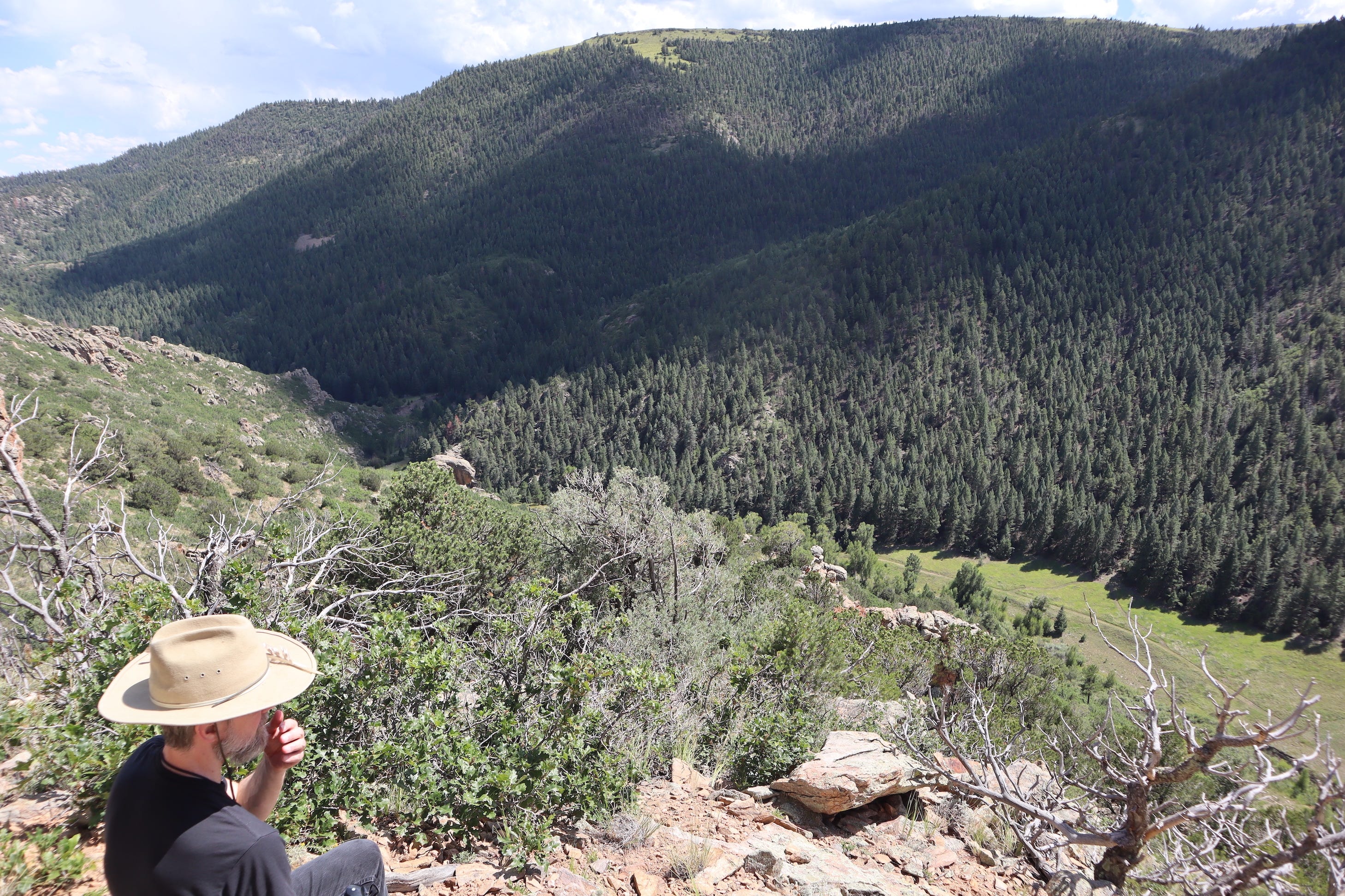 The Way of the Pilgrim - by Jack Leahy